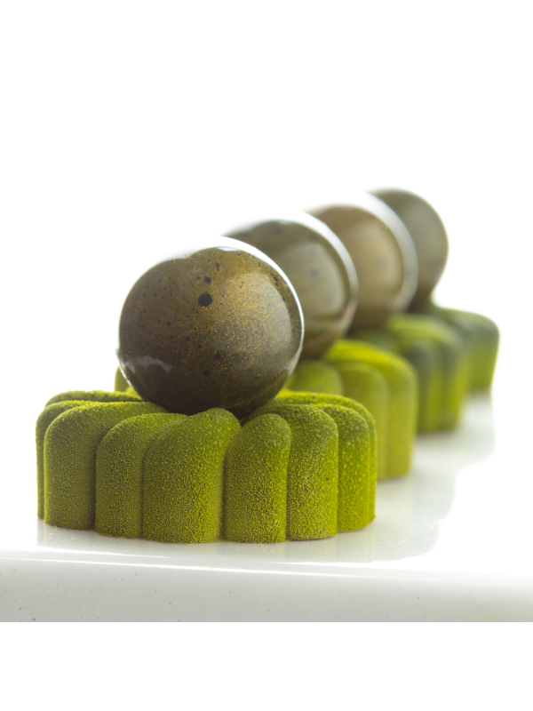 CM 4070 FLOWER PRALINE CHOCOLATE MOULD – GREYAS CHOCOLATE MOULDS